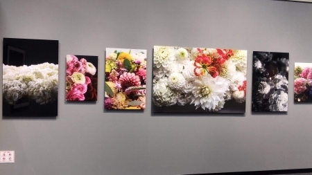 時静-JISE- 花人 赤井勝のせかい: アラベスクⅡ